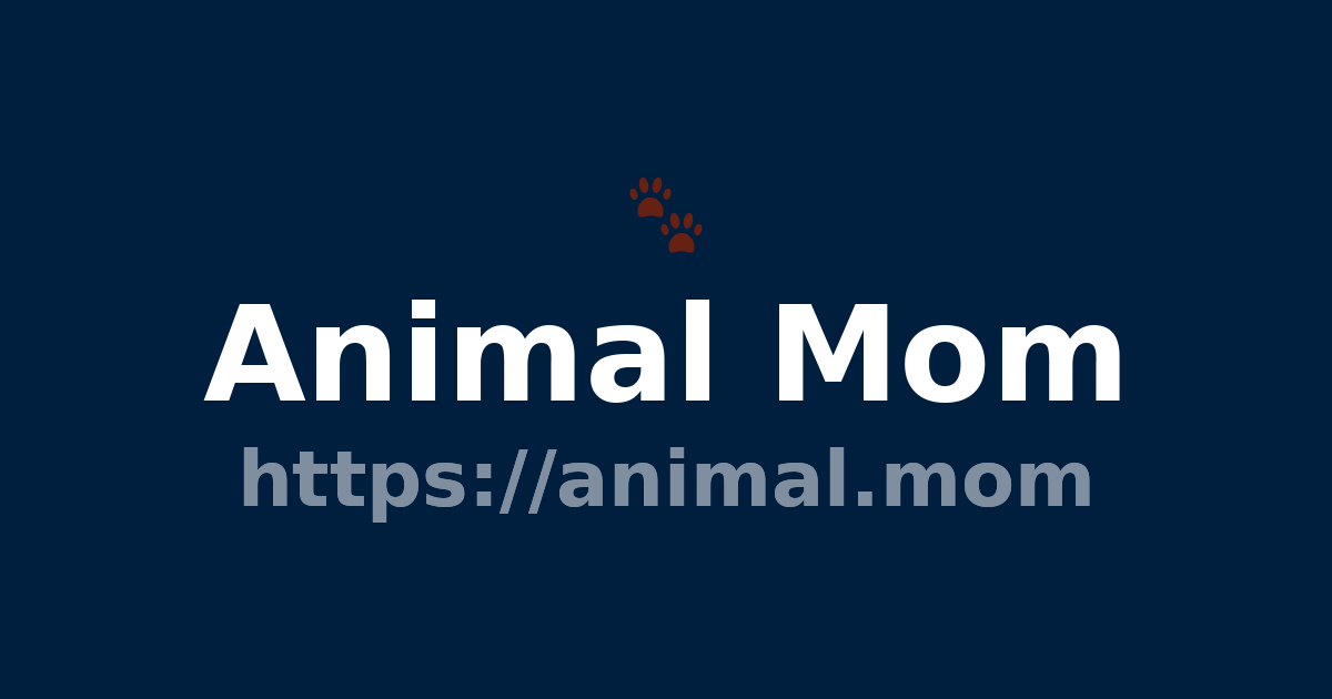 Animal Mom